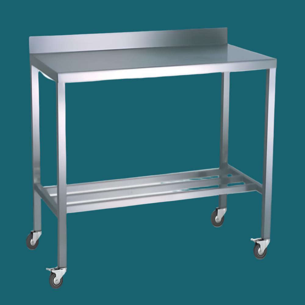 Rustfri Rullebord med hylde i rørprofil og bagkant, 600x600x840, MTSS/